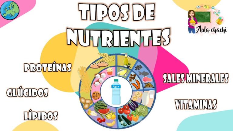 Conoce la clasificación de nutrientes: orgánicos e inorgánicos - Mi ...