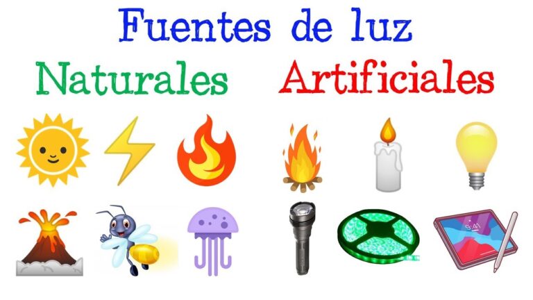 Formas naturales y artificiales: ¿qué diferencias hay? - Mi Tienduca