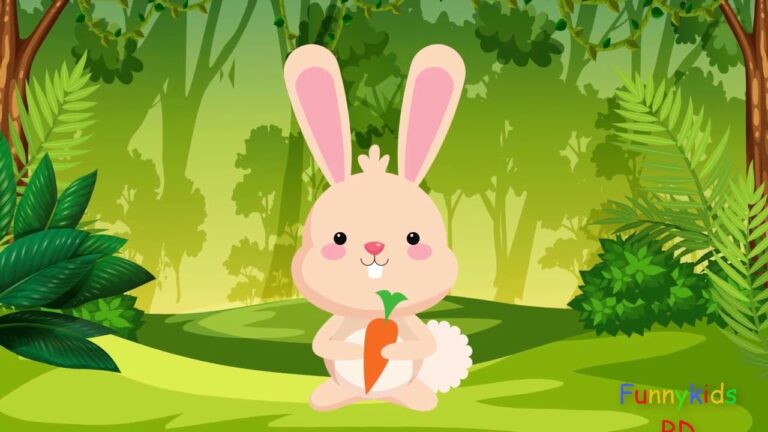 Hábitat de los conejos explicado para niños - Mi Tienduca