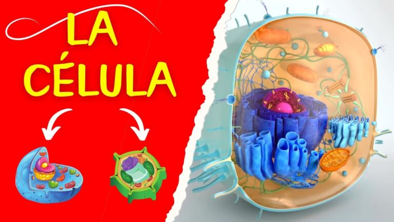 La célula: la unidad básica de la vida - Mi Tienduca