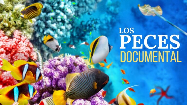 Vida acuática: El hábitat de los peces - Mi Tienduca